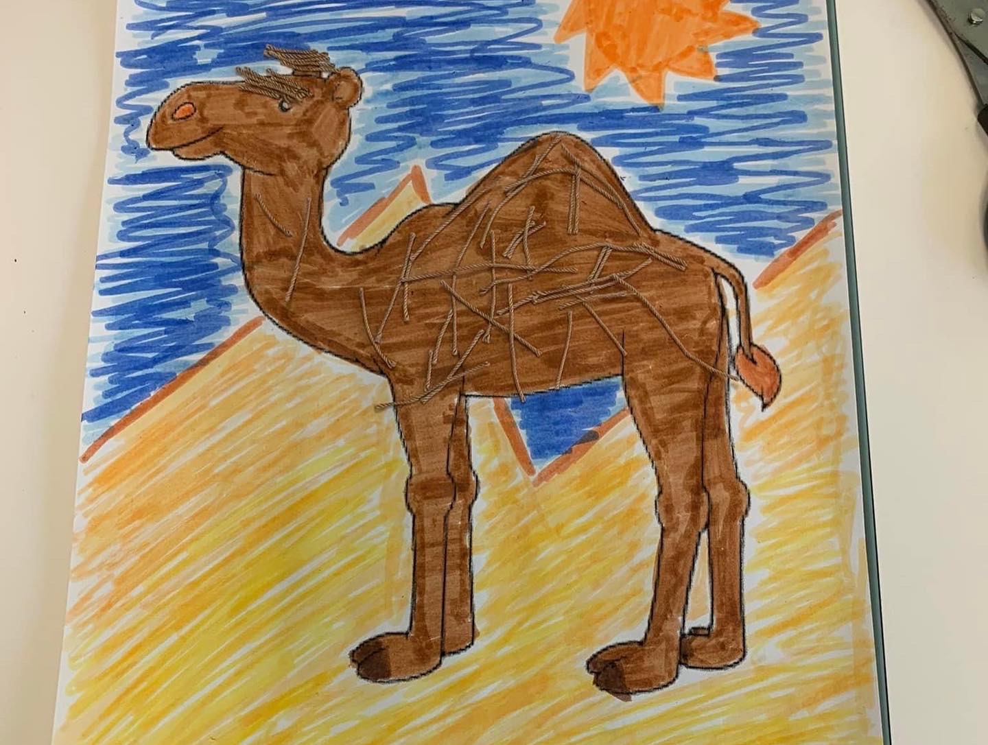 Facts About Camels🐫🐪 - にこにこインターナショナルスクール