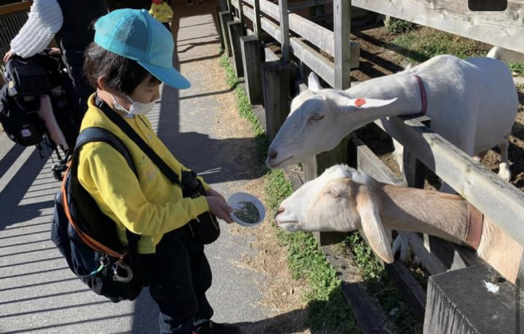 Aichi Farm II - にこにこインターナショナルスクール