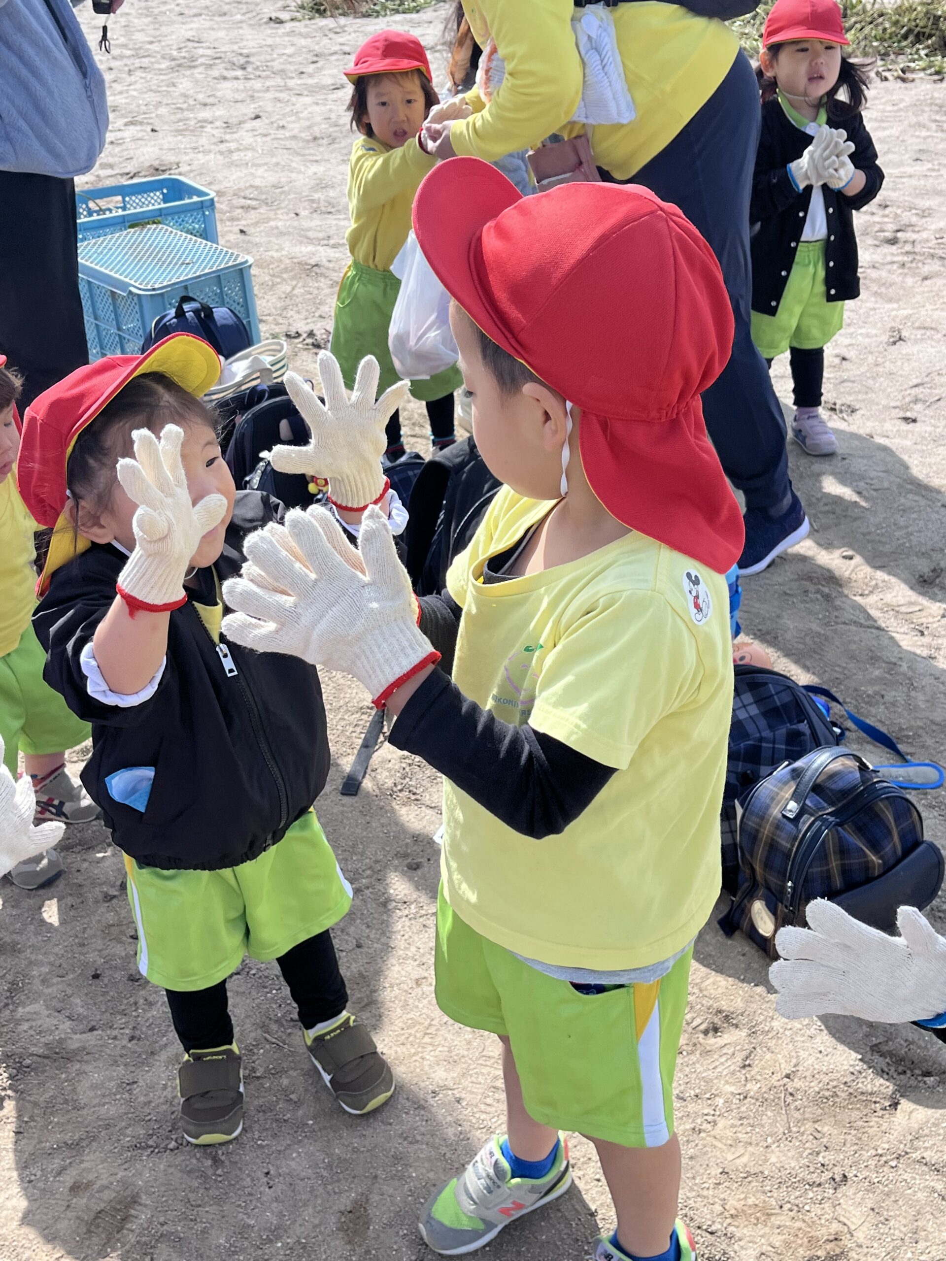 Sweet Potato Digging Fun! - にこにこインターナショナルスクール